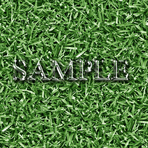 Second Life Marketplace - Zoy Texture [ Grass Texture 16 ] Seamles - Green